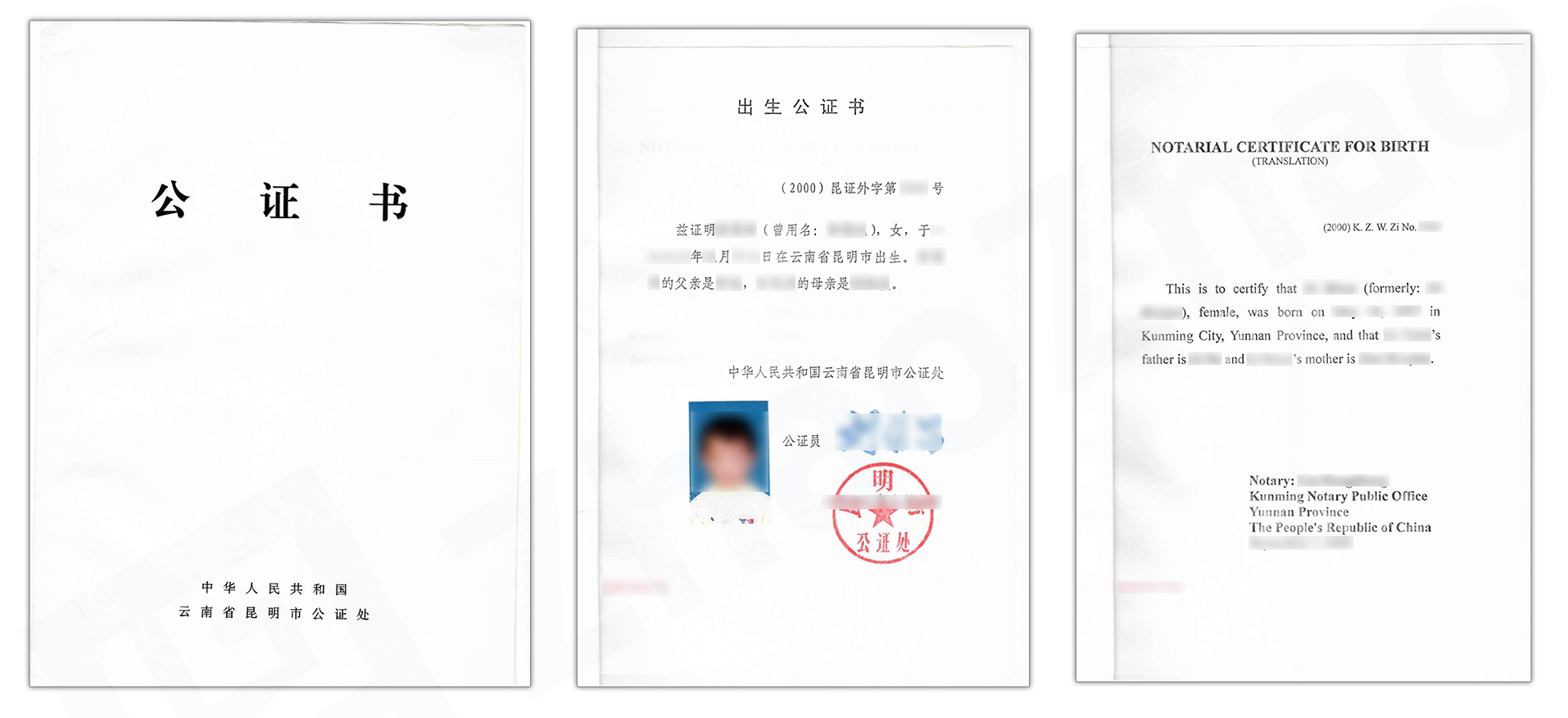 Substantive, Non-Substantive, or Procedural – Understanding Categories of Notarization in China ...